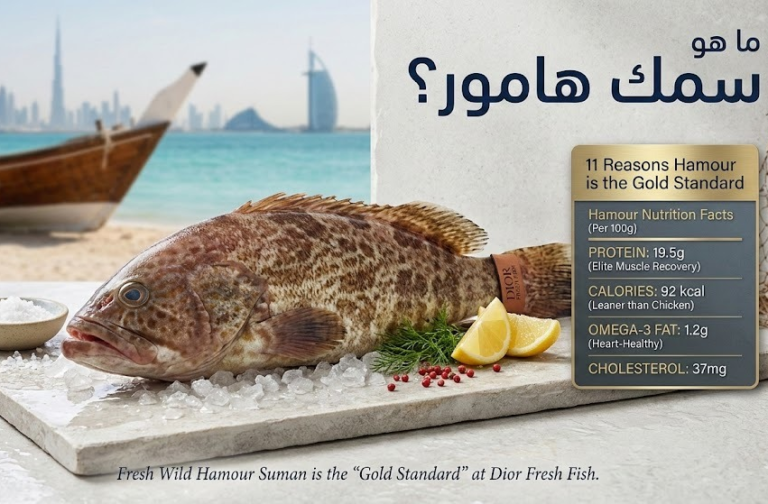 11 Brutal Truths About Hamour Fish Nutrition You Need to Know.