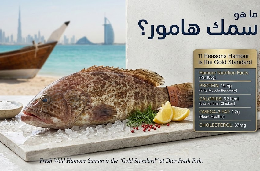11 Brutal Truths About Hamour Fish Nutrition You Need to Know.